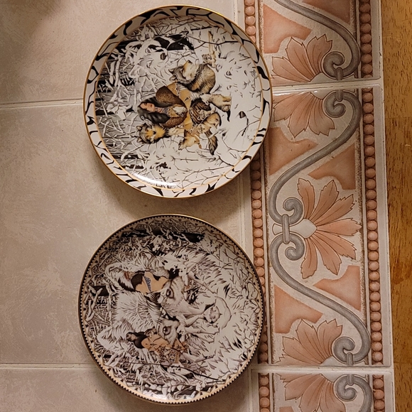 Other | 2 Limited Edition Porcelain Native American Collectible Plates ...